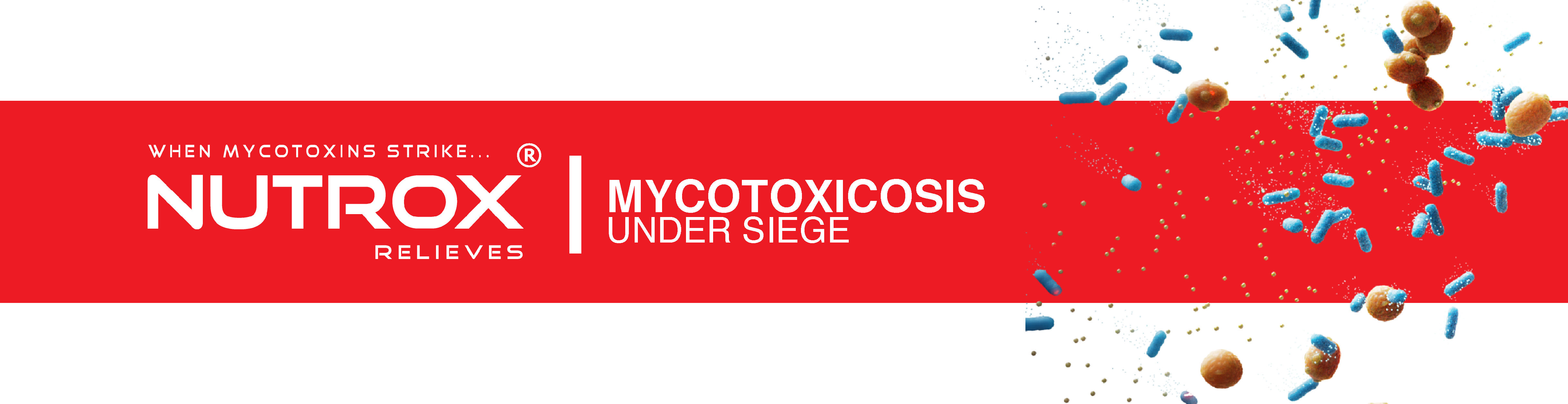 Biofeed Technology - Health & Nutrition Solutions